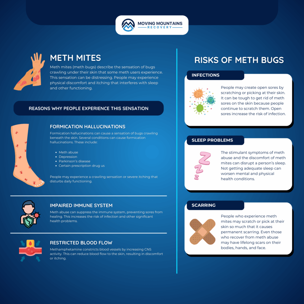 What are Meth Mites & How Do You Deal With Them?