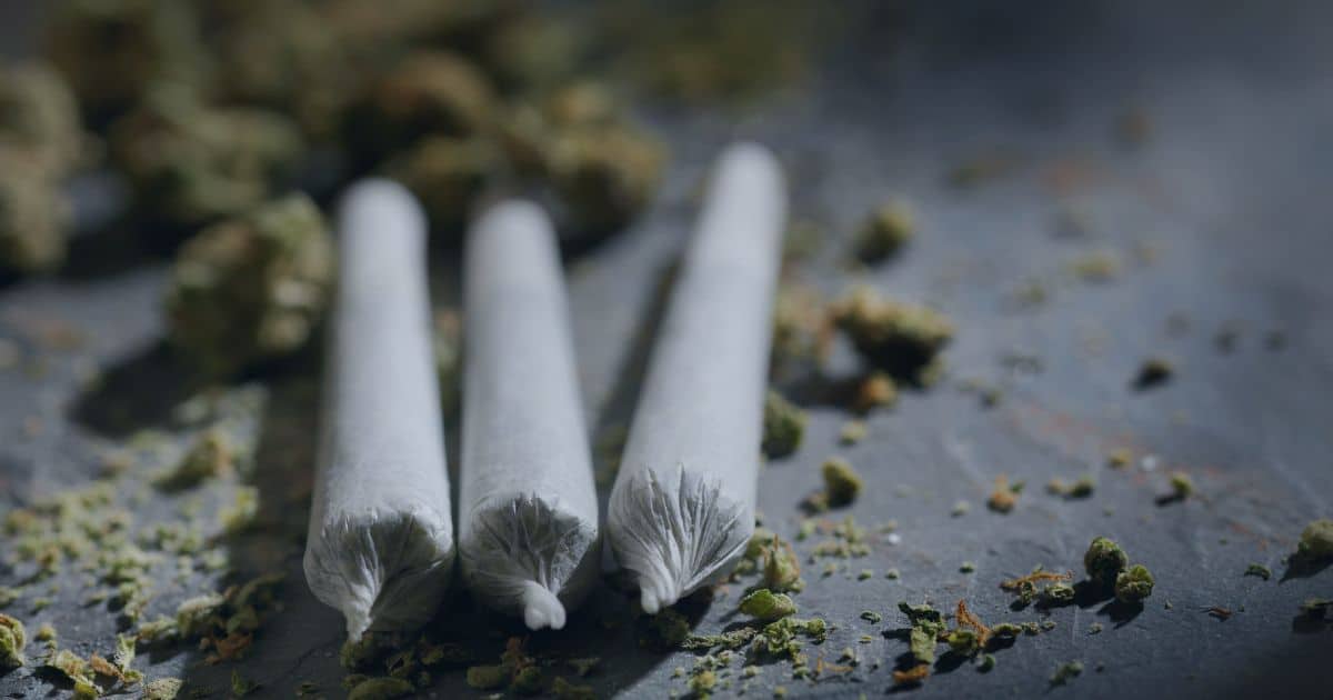 List of Slang Terms and Nicknames for Marijuana