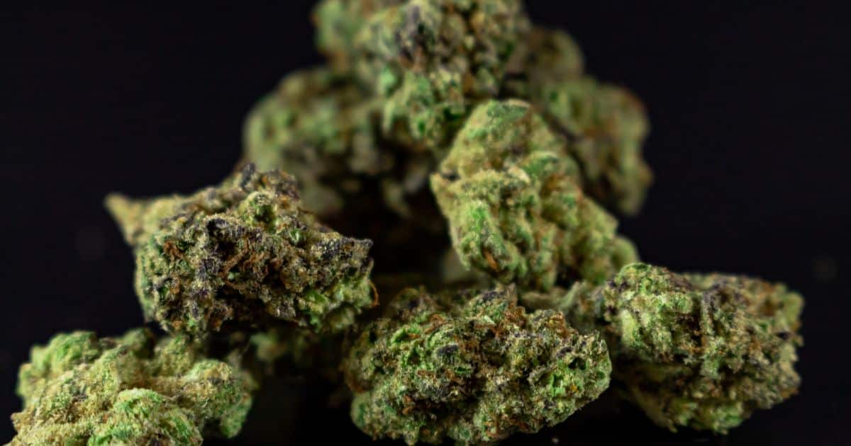 How Long Does THCA Stay in Your System?